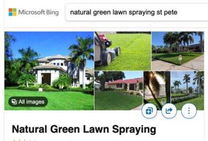 How to Optimize your Bing Listing - BrightLocal